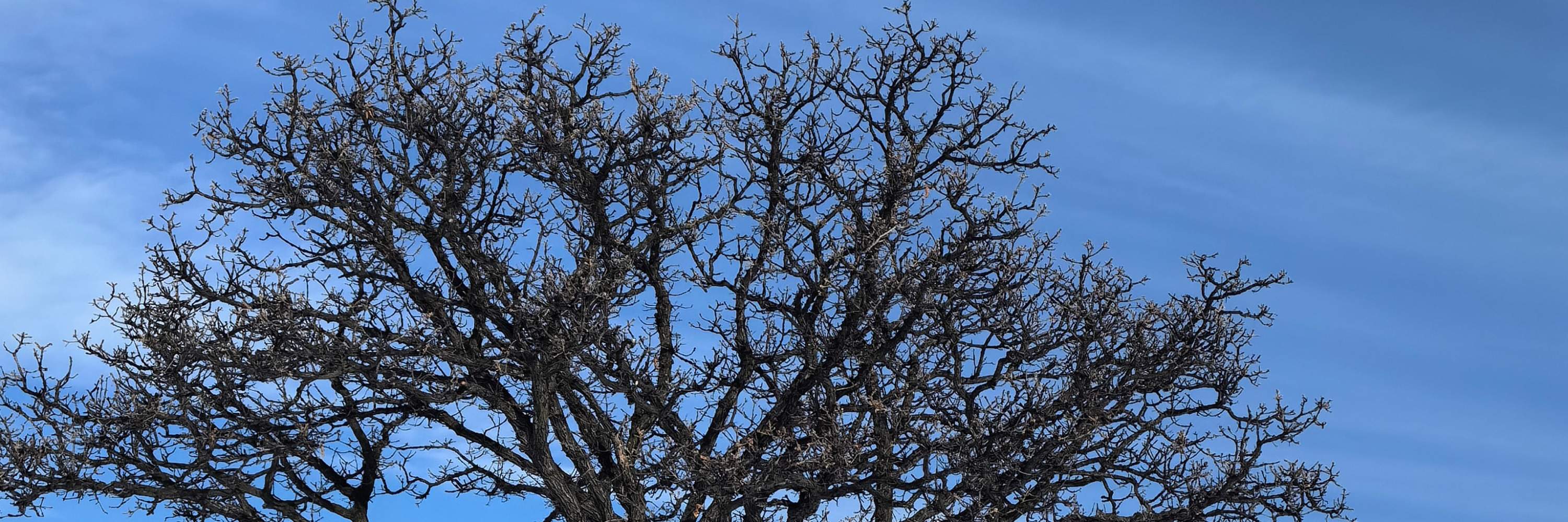 [Hokkaido Summer Internet Celebrity Check-in] Patchwork Road Seven Star ...